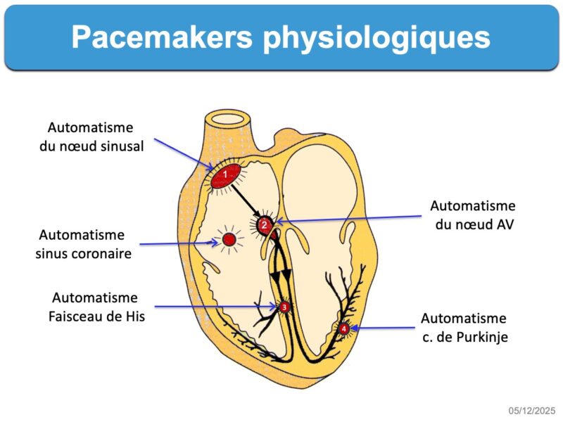 Automatisme : e-cardiogram