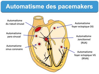 Automatisme : e-cardiogram