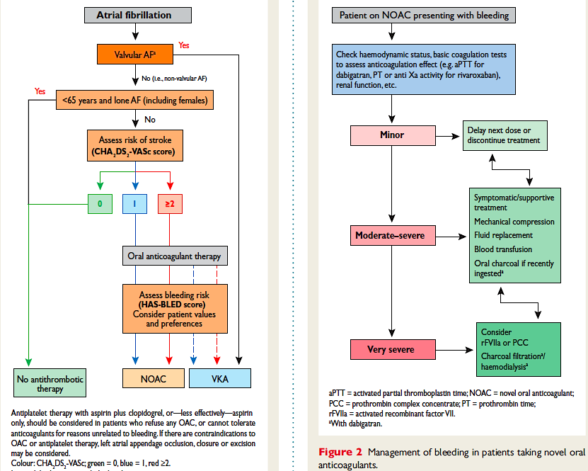 Fibrillation atriale 7b. anticoagulant : e-cardiogram