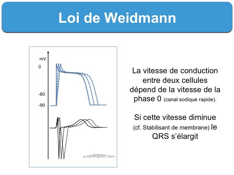 Loi de Weidmann : e-cardiogram
